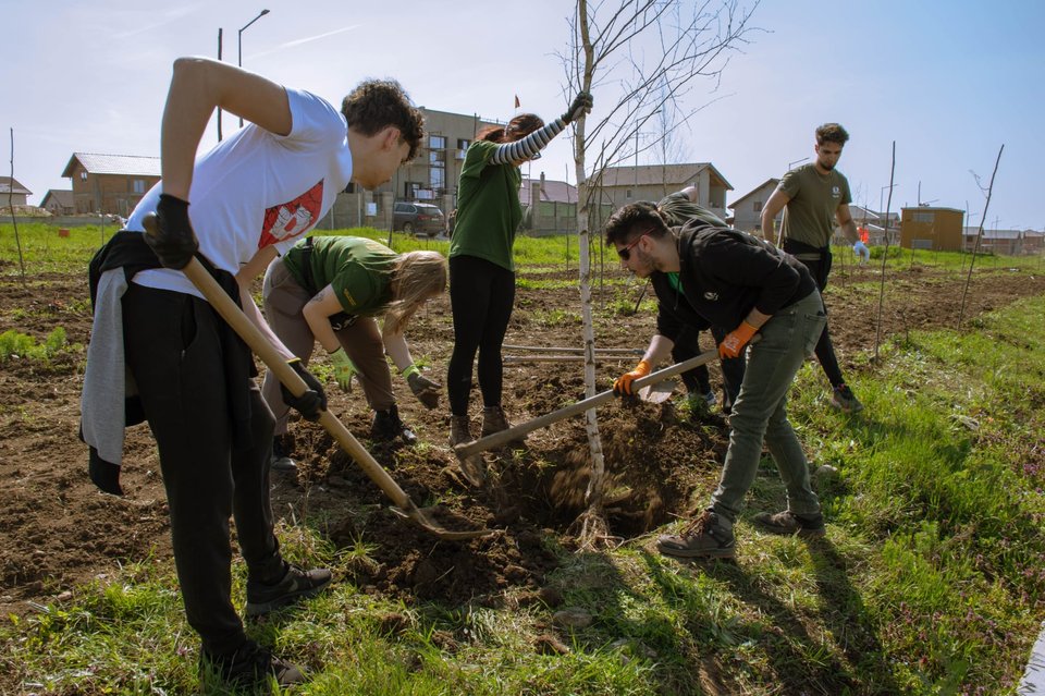 Pădurea didactică de la Giarmata